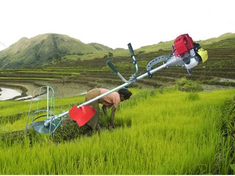 Máy gặt lúa cầm tay | Máy gặt lúa kubota, máy cày nhật, máy kéo nhật ...