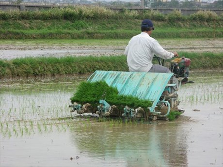 Máy cấy lúa 2ZS-4 | Máy gặt lúa kubota, máy cày nhật, máy kéo nhật ...